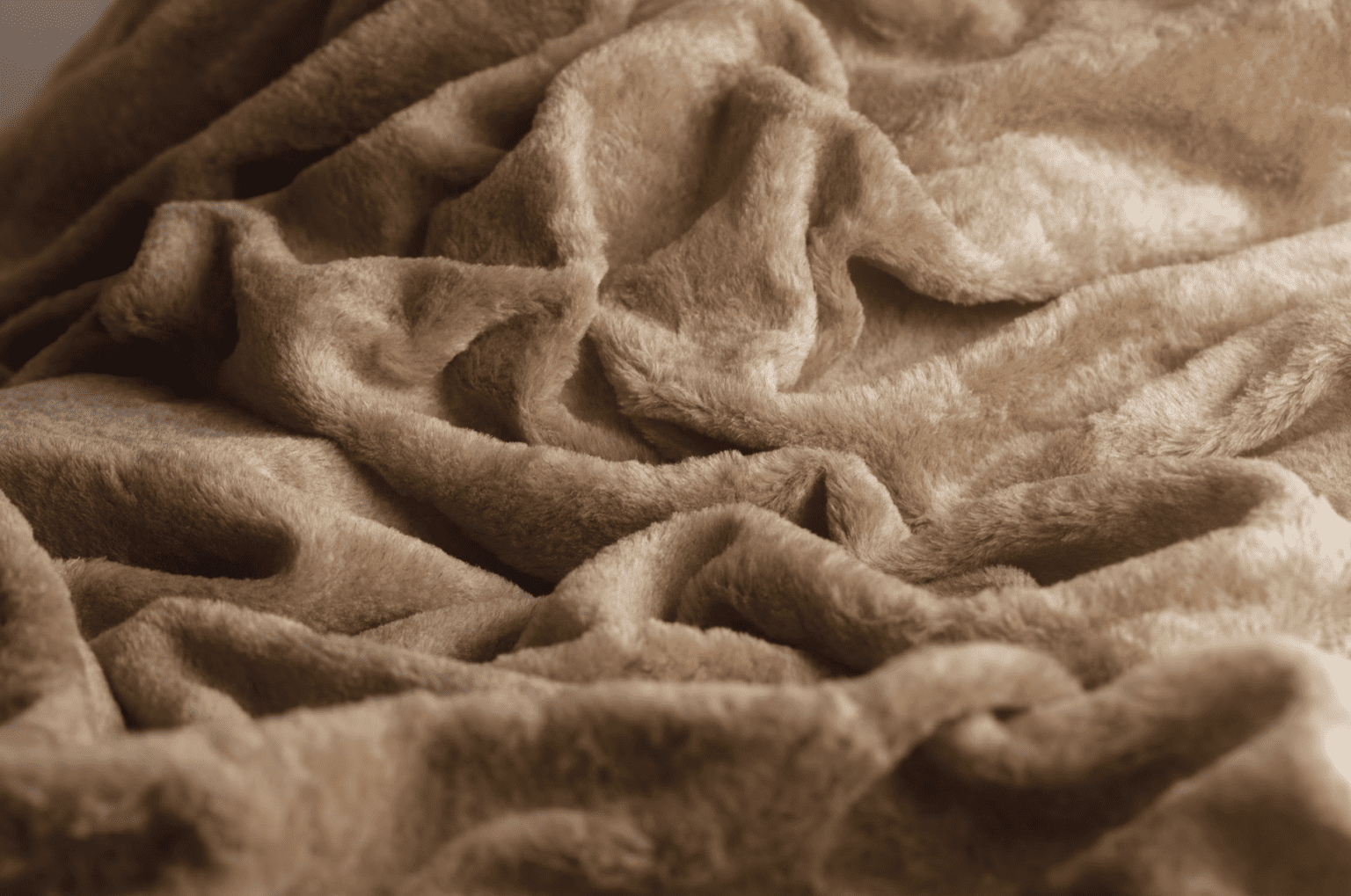 Plant-based plush | Bio-Fluff positions itself for plastic-free ...